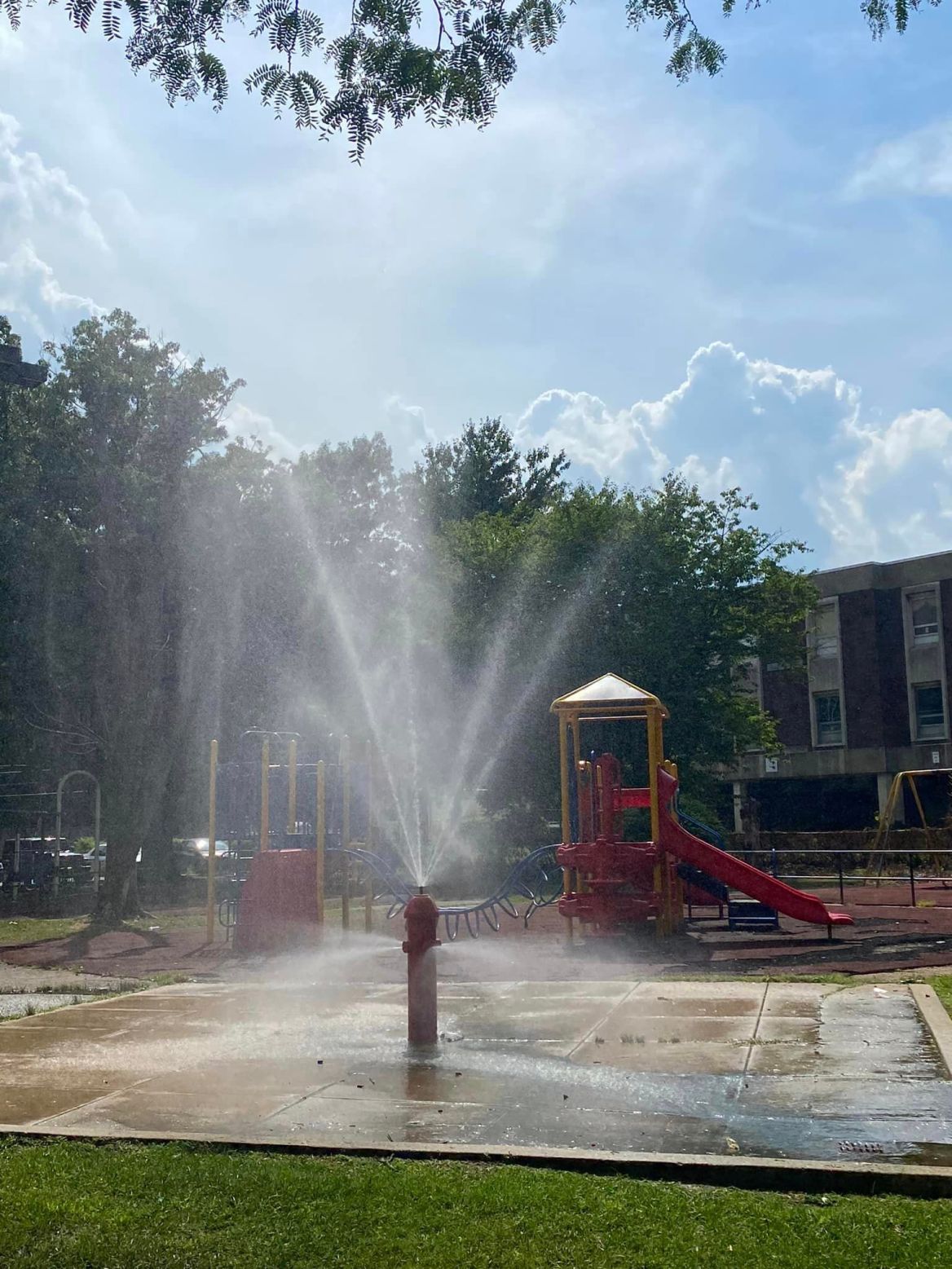 Awbury Pool | Swimming Philadelphia