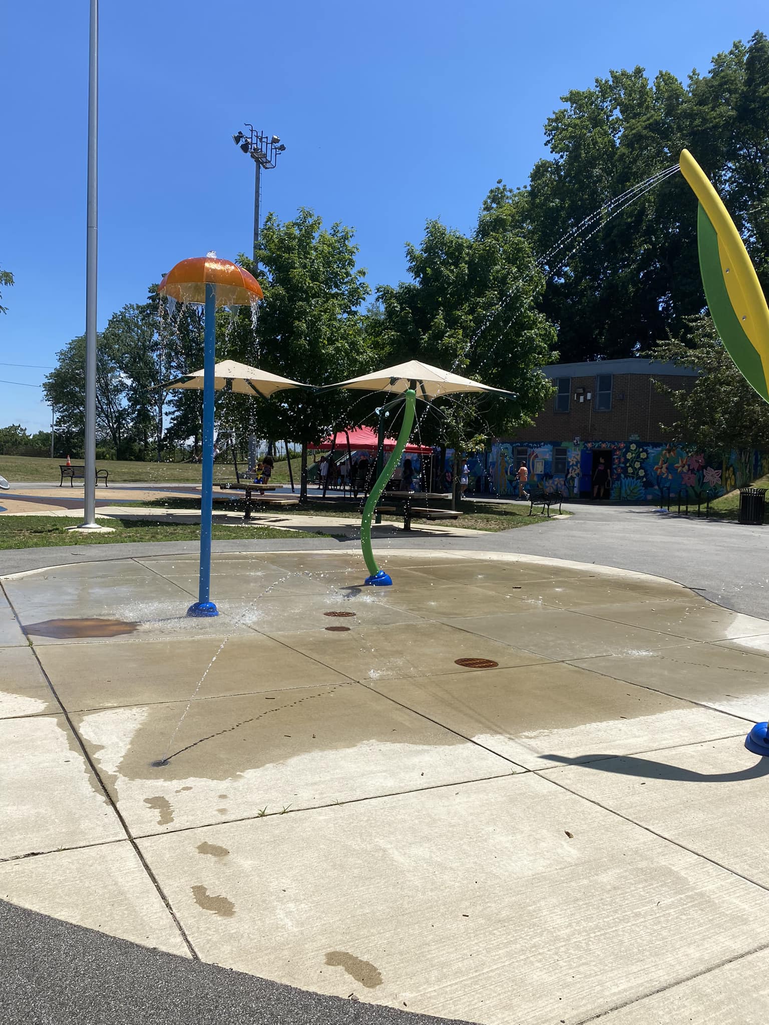 Mitchell Pool | Swimming Philadelphia