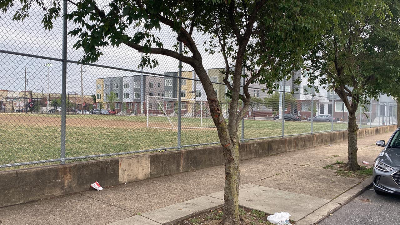 Samuel Pool | Swimming Philadelphia